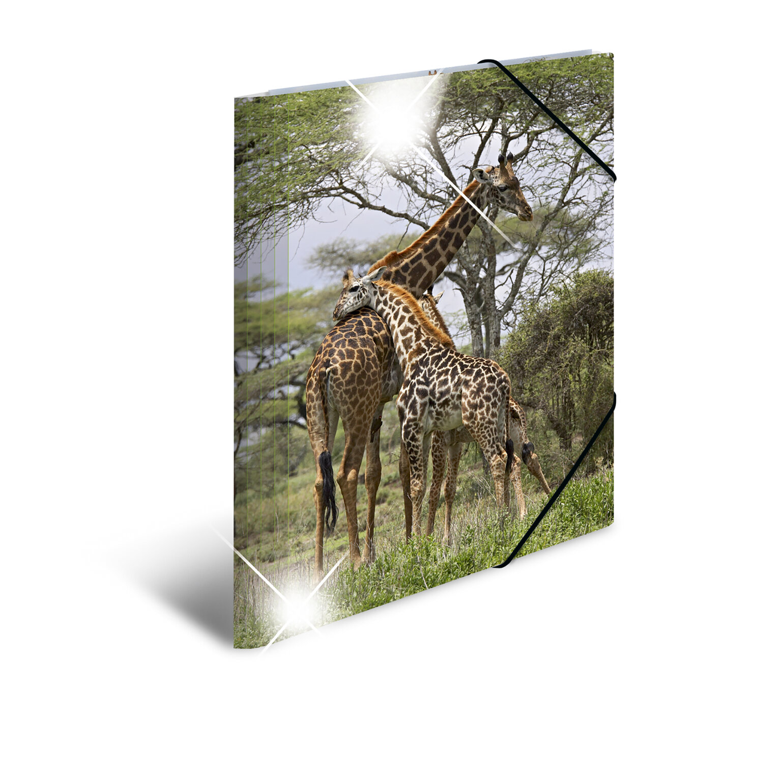 Elasticated folder glossy animals A4 PP giraffe