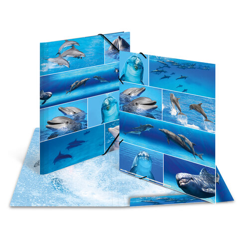 Elasticated folder A3 cardboard dolphins
